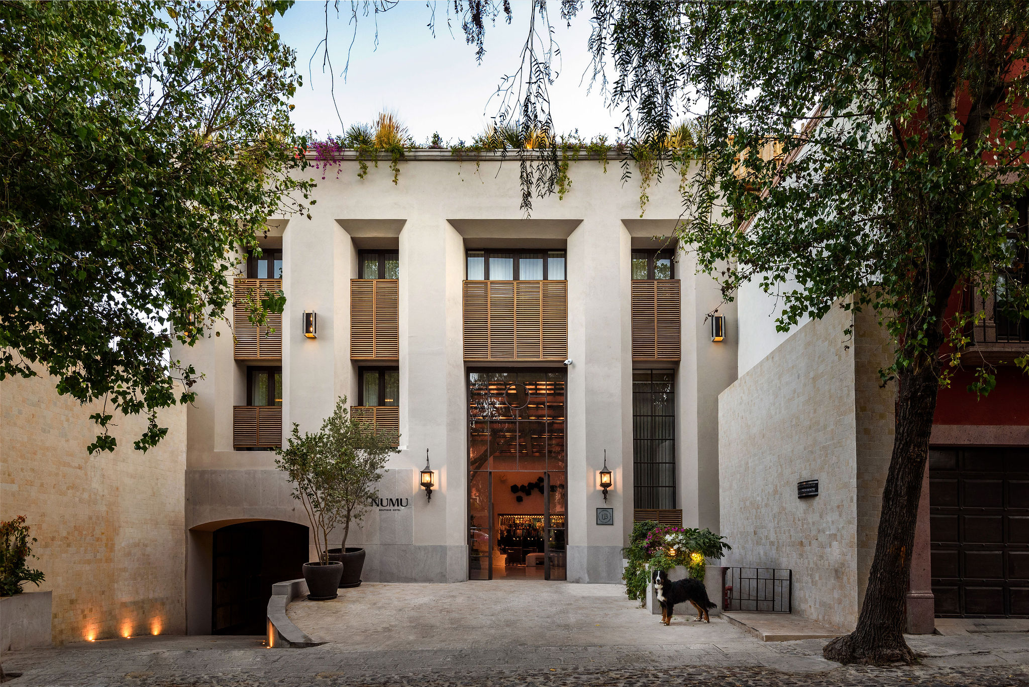 Descubre NUMU, el destino de lujo y cultura en San Miguel de Allende ...